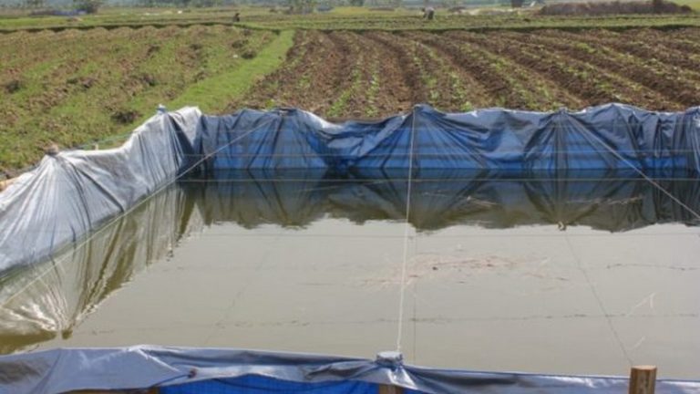 Mengenal Teknologi Pembuatan dan Pemeliharaan Embung - seputargk.id